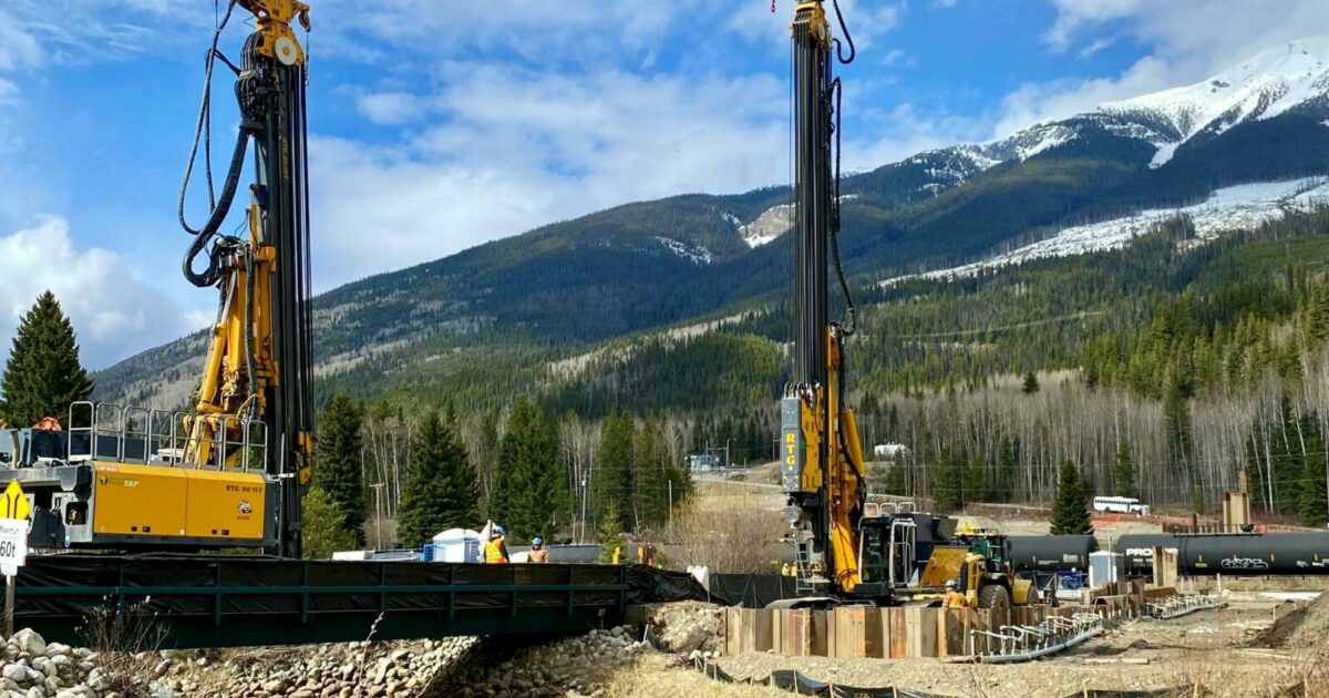 Vibro to CFA, Kelly to MSM: How RTG Sets the Standard for Versatility ...